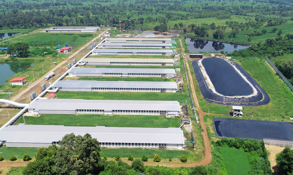 CPF มุ่งมั่นนำนวัตกรรมและเทคโนโลยี ขับเคลื่อนองค์กรมุ่งสู่เป้าหมาย Net ...