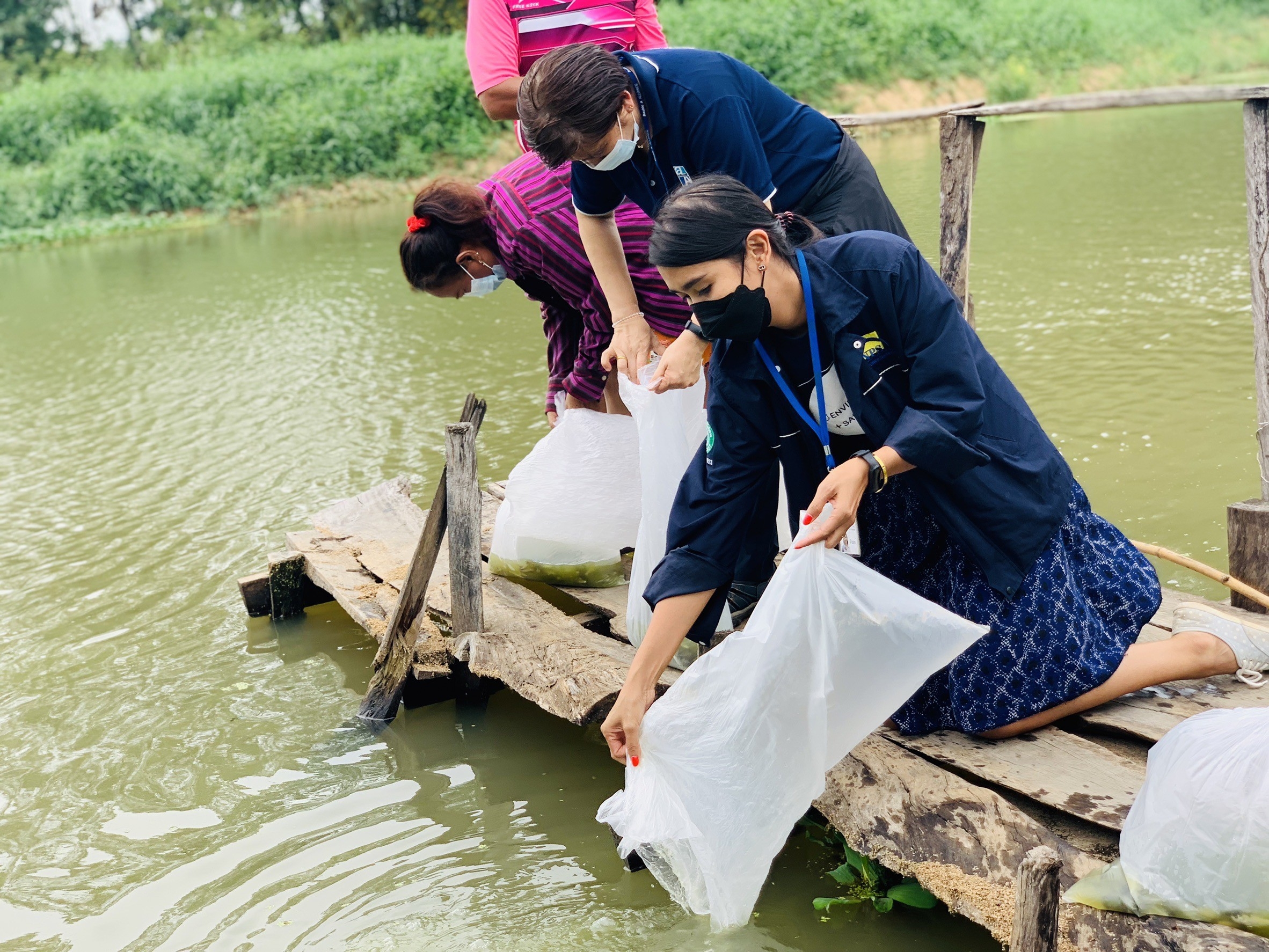 NPS จัดกิจกรรม CSR ปล่อยปลา กุ้งคืนสู่ธรรมชาติอฟื้นฟูระบบนิเวศ อนุรักษ์สิ่งแวดล้อม