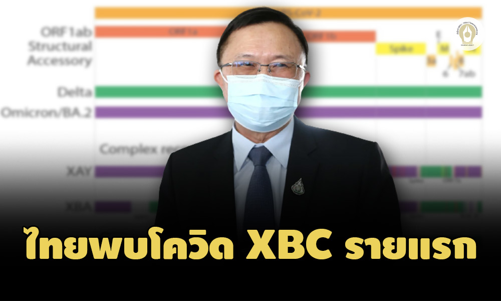ไทยพบโควิดลูกผสม XBC รายแรก-รักษาหายแล้ว สธ.เผย BA.2.75 เพิ่มขึ้น แต่ไม่รุนแรง