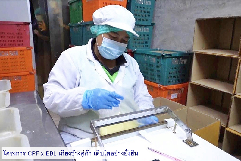 CPF ธุรกิจโดดเด่นด้านสิ่งแวดล้อม สังคม ธรรมาภิบาล คว้ารางวัล ESG 100 เป็นปีที่ 7