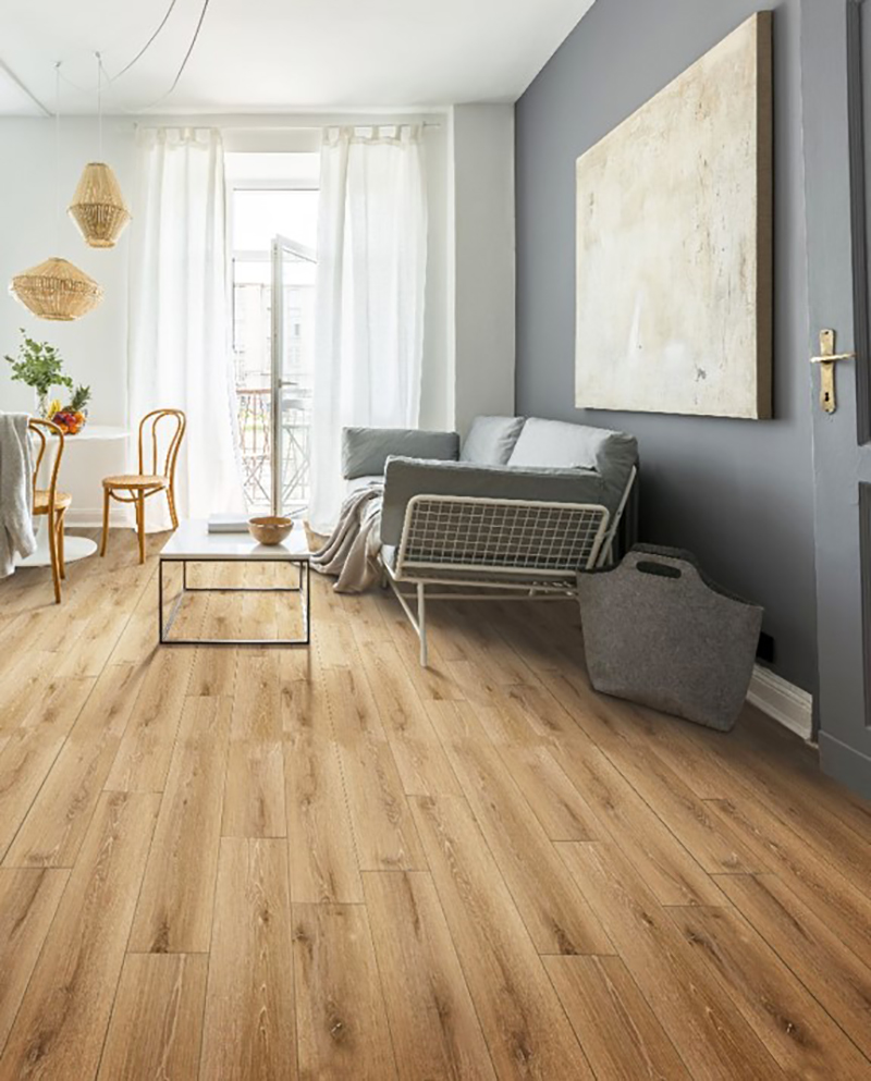 SCGD เผยปี67 กำไรเพิ่ม147% จากสินค้ามูลค่าเพิ่มโดนใจลูกค้า มั่นใจปี68 โตต่อเนื่อง