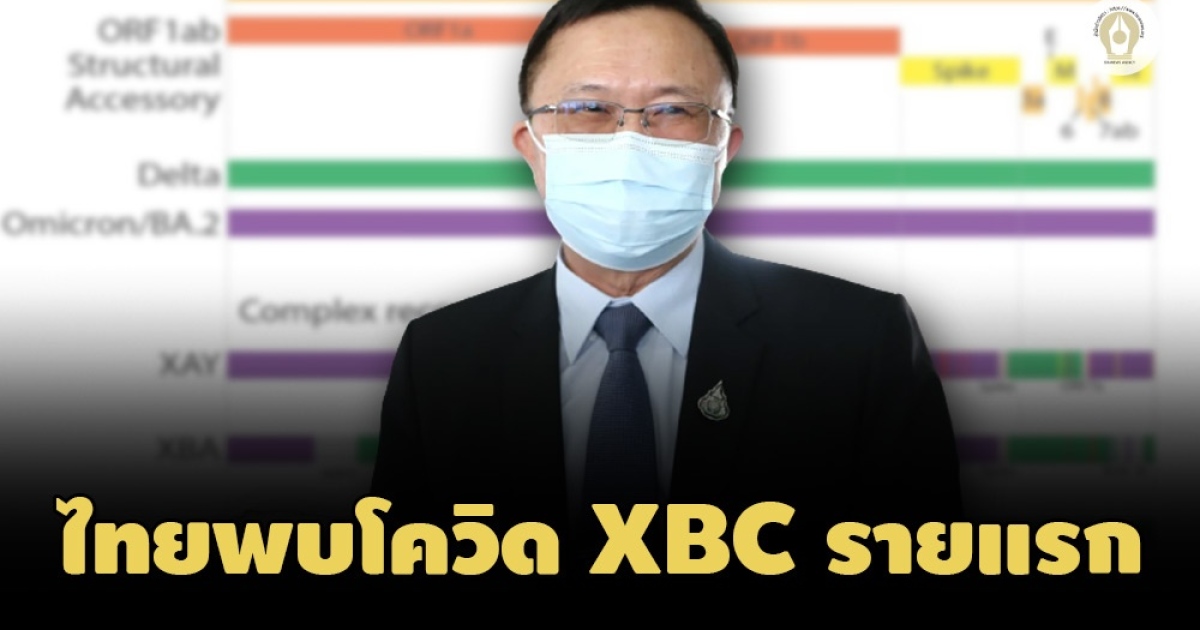 ไทยพบโควิดลูกผสม XBC รายแรก-รักษาหายแล้ว สธ.เผย BA.2.75 เพิ่มขึ้น แต่ไม่รุนแรง